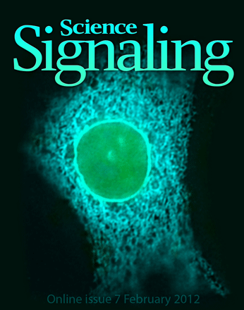 Dr Kille Final Author on Science Signalling Cover Paper – Kille and ...