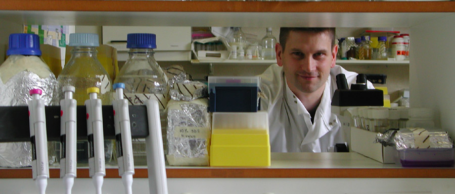Professor Peter Kille – Kille and Morgan lab group - Cardiff University