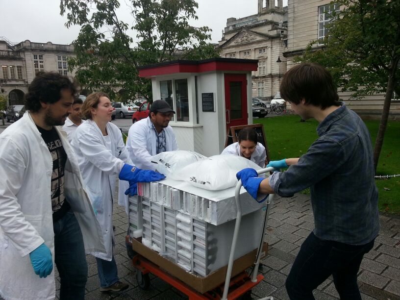 How many scientists does it take to change a freezer? – Kille and ...