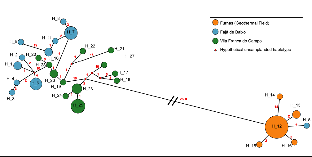 New paper out!!! Our beloved volcanic earthworms!!! – Kille and Morgan ...