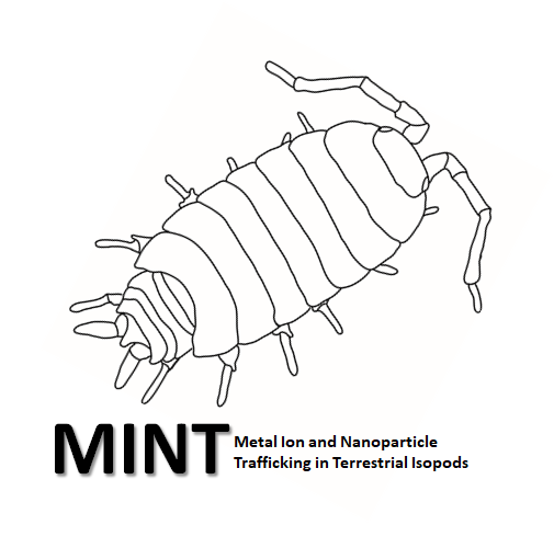 MINT- Metal Ion and Nanoparticle Trafficking in Terrestrial Isopods ...
